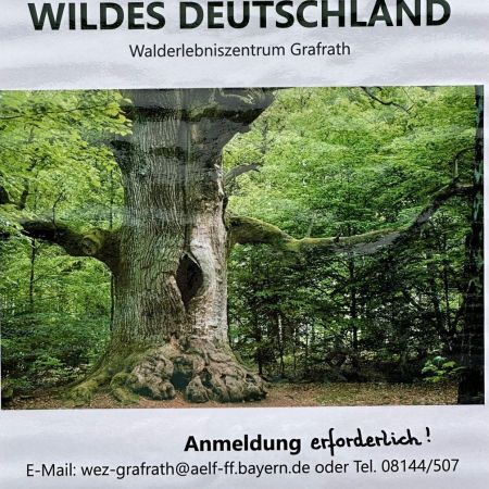 Rosing Fotografie – Norbert Rosing - Fotograf